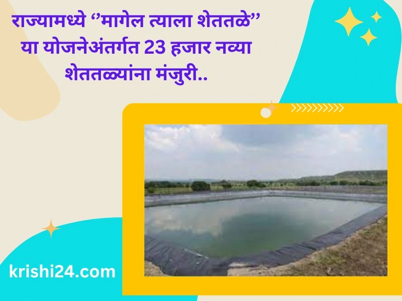 Farm Pond Scheme : राज्यामध्ये ‘’मागेल त्याला शेततळे’’ या योजनेअंतर्गत ...